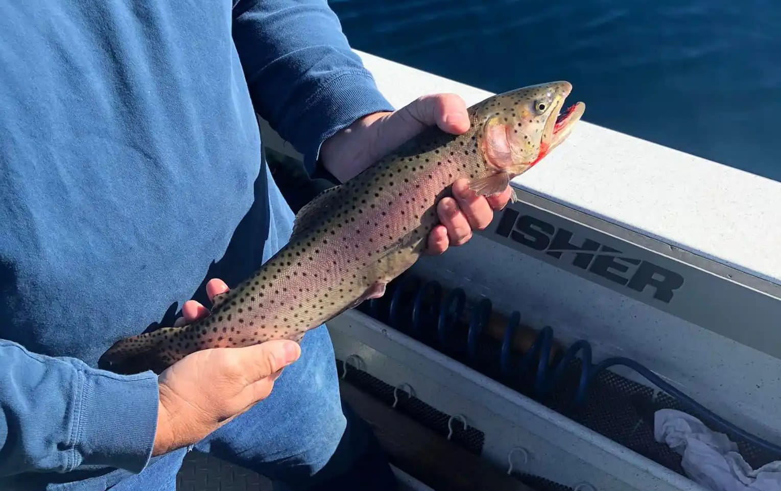 Catching Brown Trout in Lake Tahoe: Tips and Techniques – Mile High ...